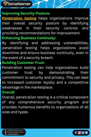 Penetration Testing Service in India Senselearner .pdf