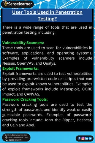 Penetration Testing Service in India Senselearner .pdf