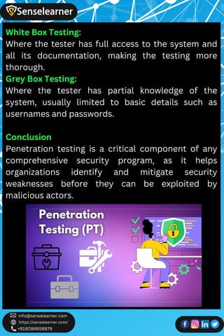 Penetration Testing Service in India Senselearner .pdf
