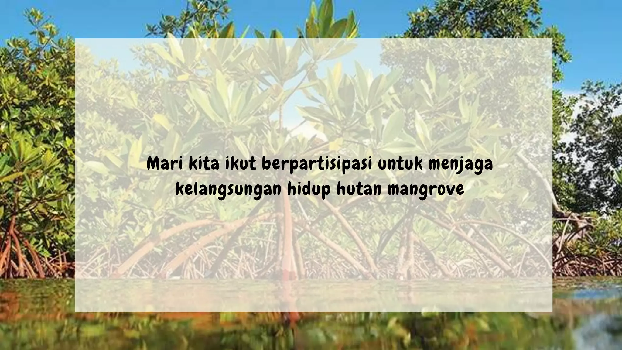 Pentingnya Menjaga ekosistem Mangrove | PPTX