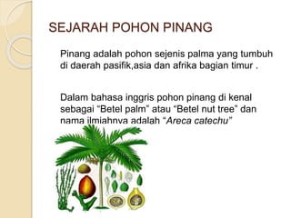 Pengamatan biotik dan abiotik (pengamatan pohon pinang) | PPTX