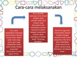 PENGAMATAN PENGLIHATAN - W1.pptx