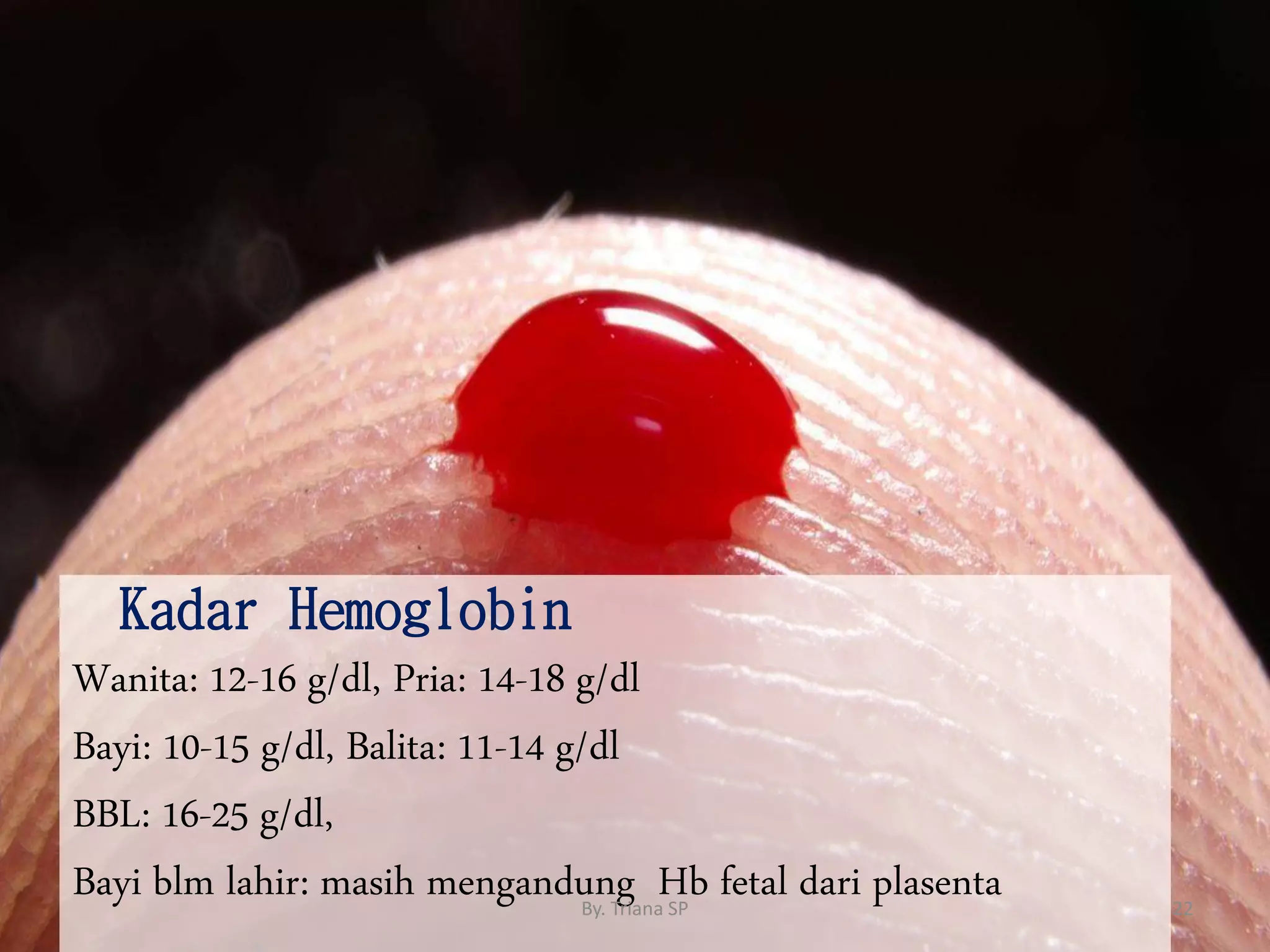 Pengambilan darah | PDF
