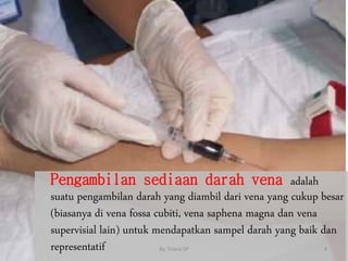 Pengambilan darah | PDF