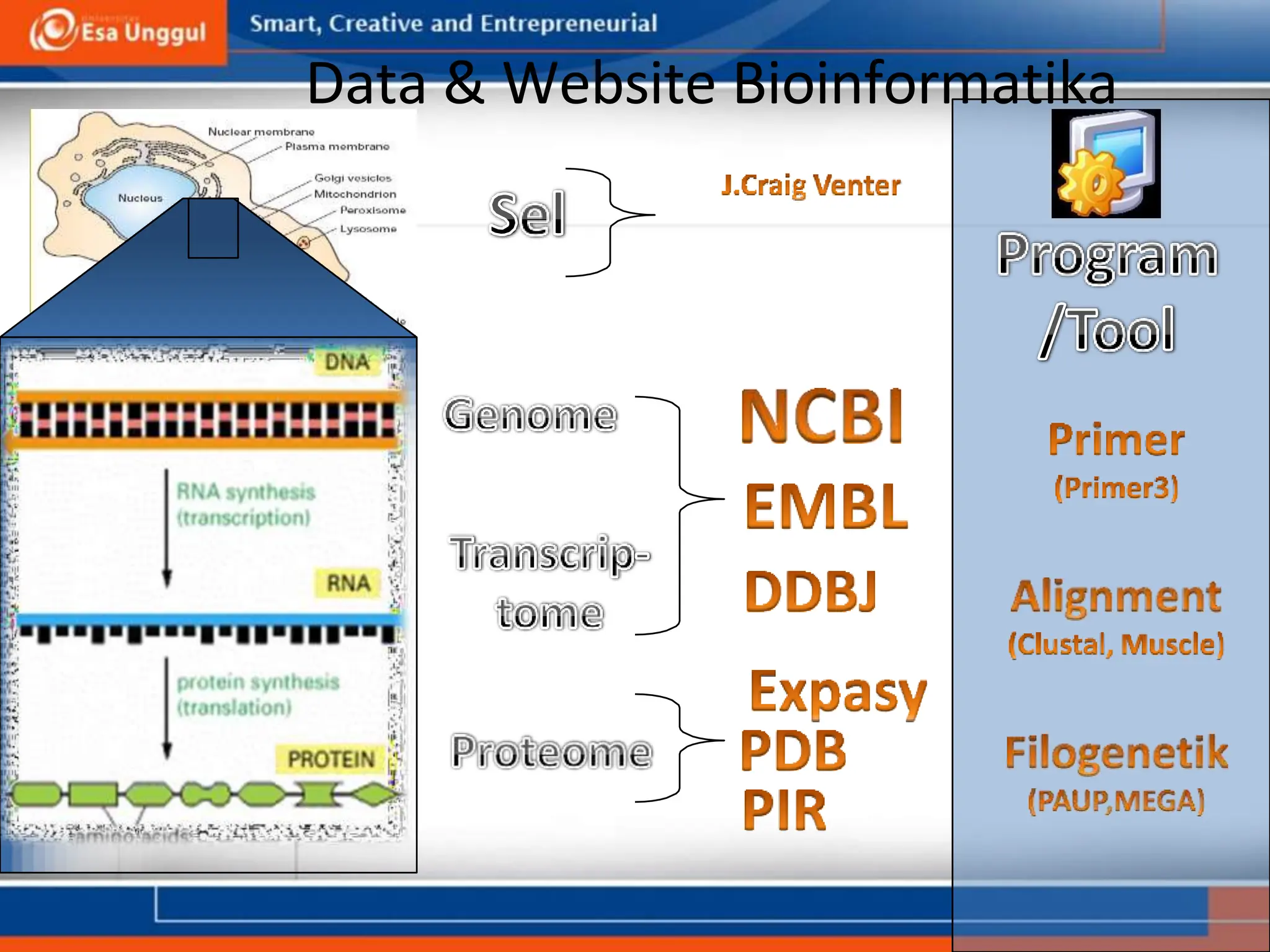 Bioinformatics.pptx