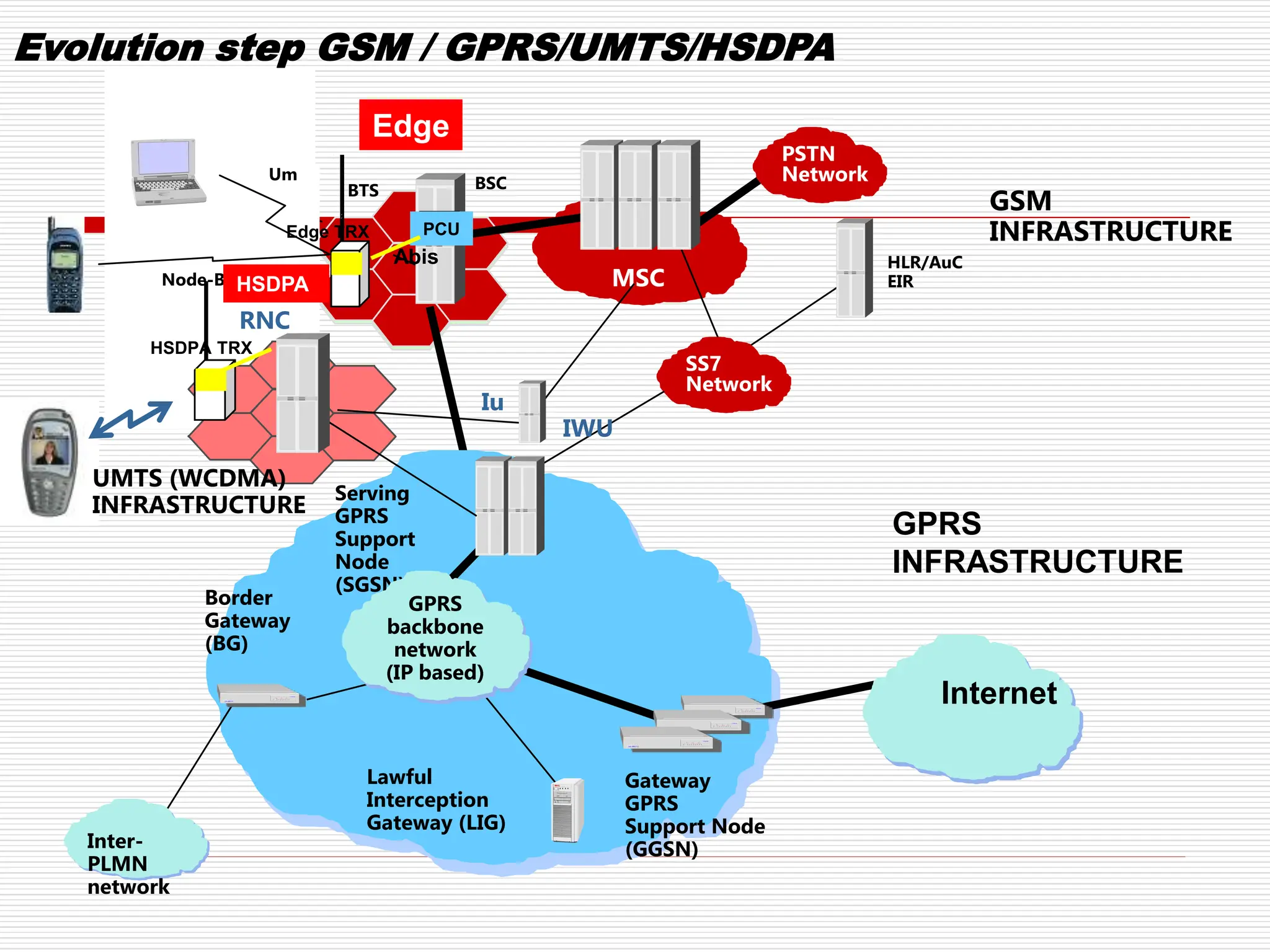 materi pengantar struktur jaringan seluler | PPT