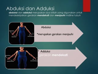 ANATOMIIIIIIIIIIII. Lurr.pptx