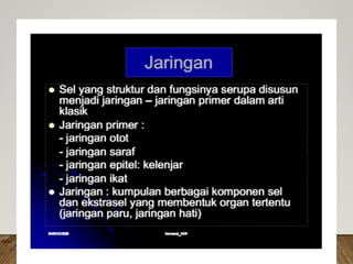 ANATOMIIIIIIIIIIII. Lurr.pptx