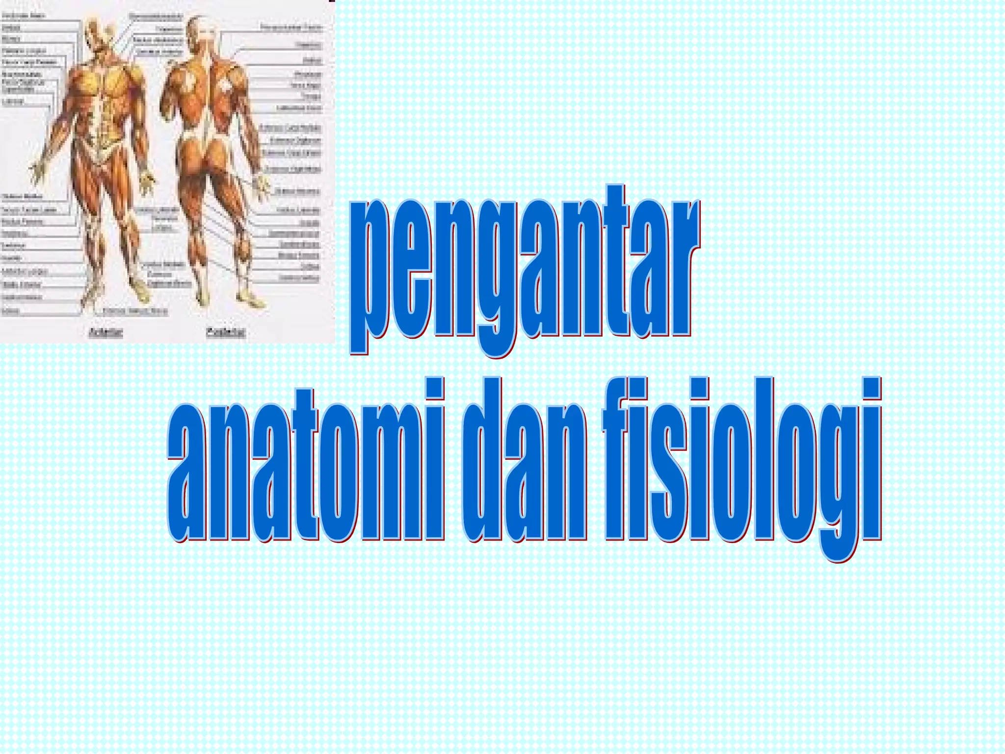 Pengantar anatomi dan fisiologi | PPT