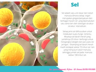 PENGANTAR ANATOMI DAN FISIOLOGI MANUSIA.pdf