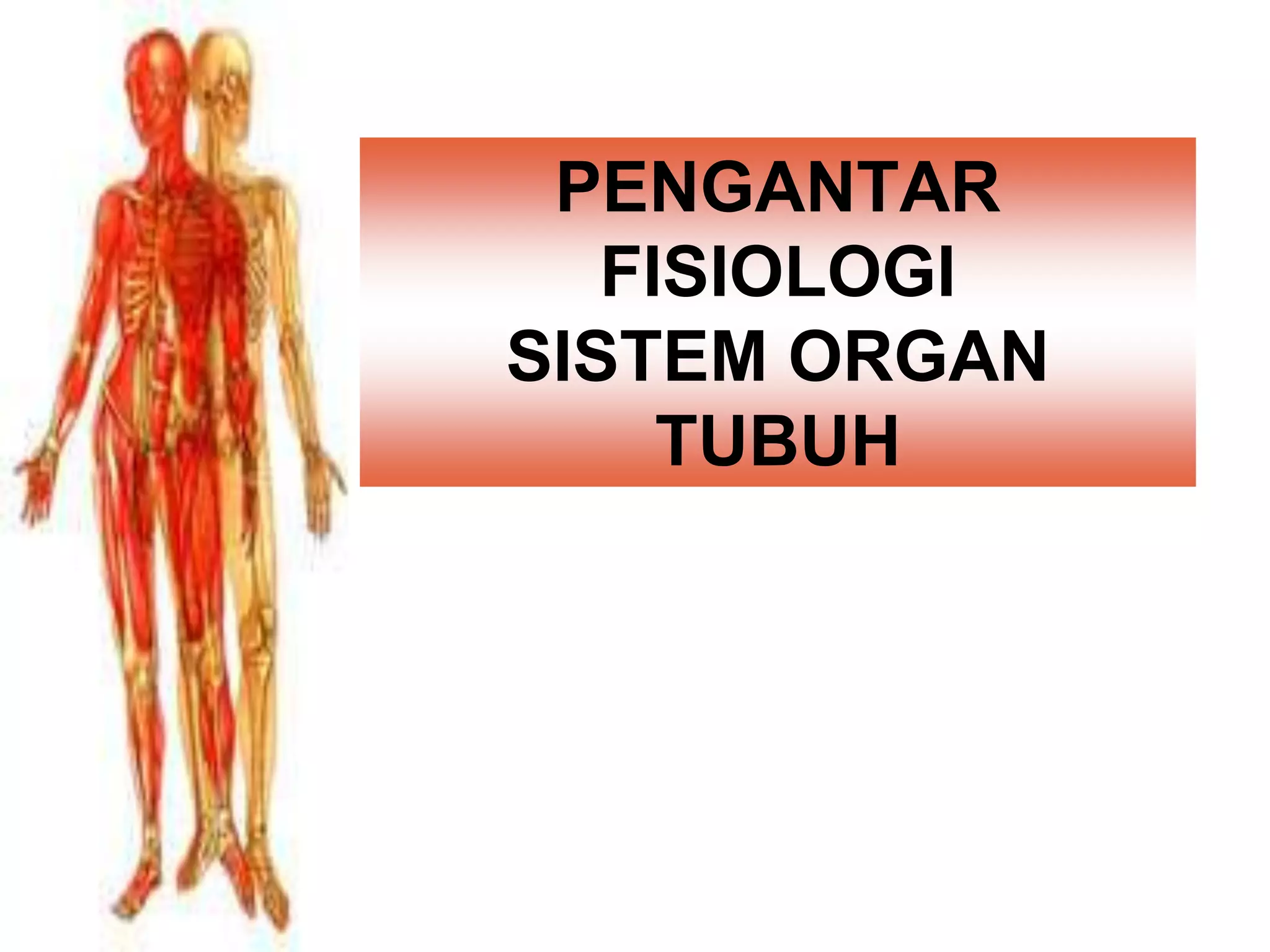 Pengantar_ANATOMI_DASAR_DAN_FISIOLOGI.ppt