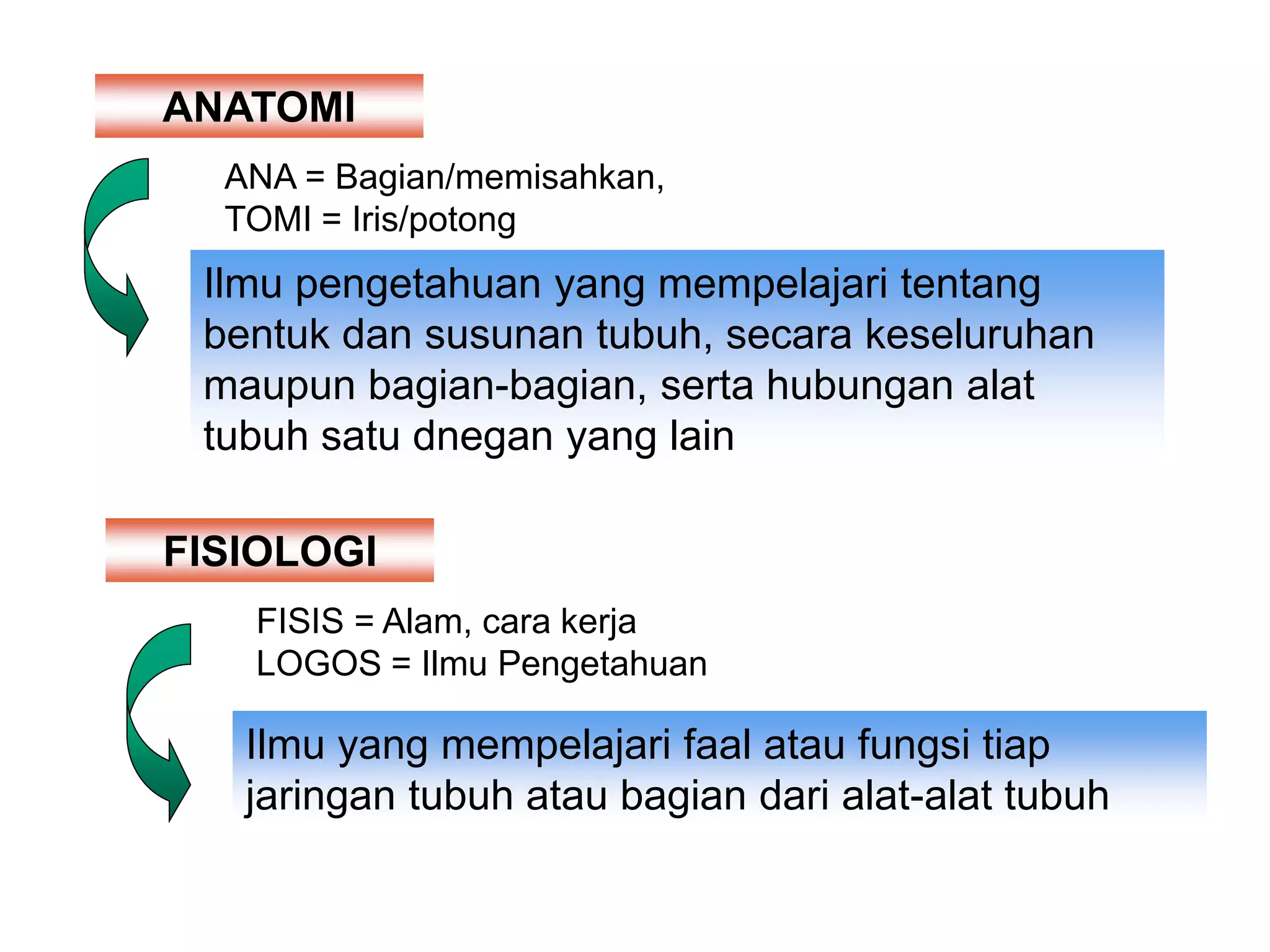 Pengantar_ANATOMI_DASAR_DAN_FISIOLOGI.ppt