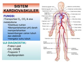 Pengantar_ANATOMI_DASAR_DAN_FISIOLOGI.ppt