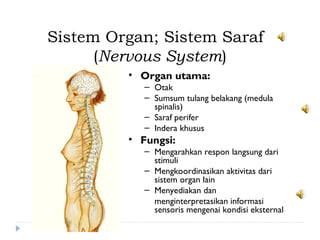 PENGANTAR ANATOMI FISIOLOGI MANUSIA.ppt. | PPT