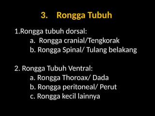 Mata Kuliah Pengntar Anatomi Semester 1. | PPTX