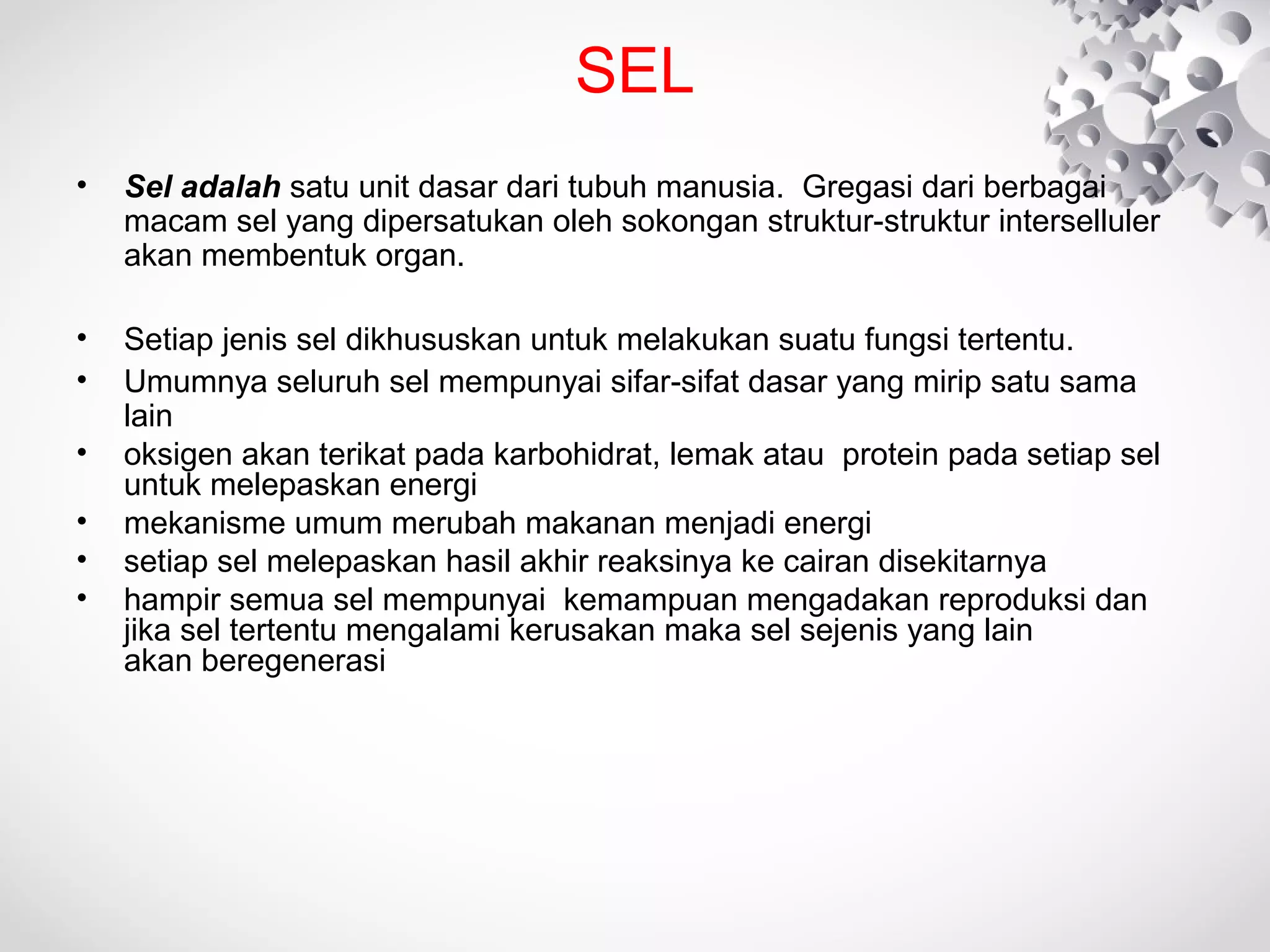 Pengantar Anatomi Fisiologi Manusia | PPT