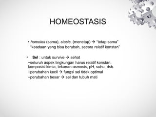 Pengantar Anatomi Fisiologi Manusia | PPT