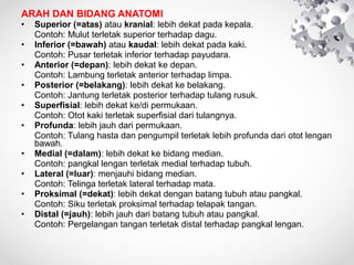Pengantar Anatomi Fisiologi Manusia | PPT
