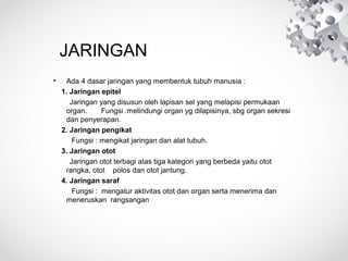 Pengantar Anatomi Fisiologi Manusia | PPT