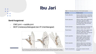 Pengantar Bedah Tangannnnnnnnnnnnnn.pptx