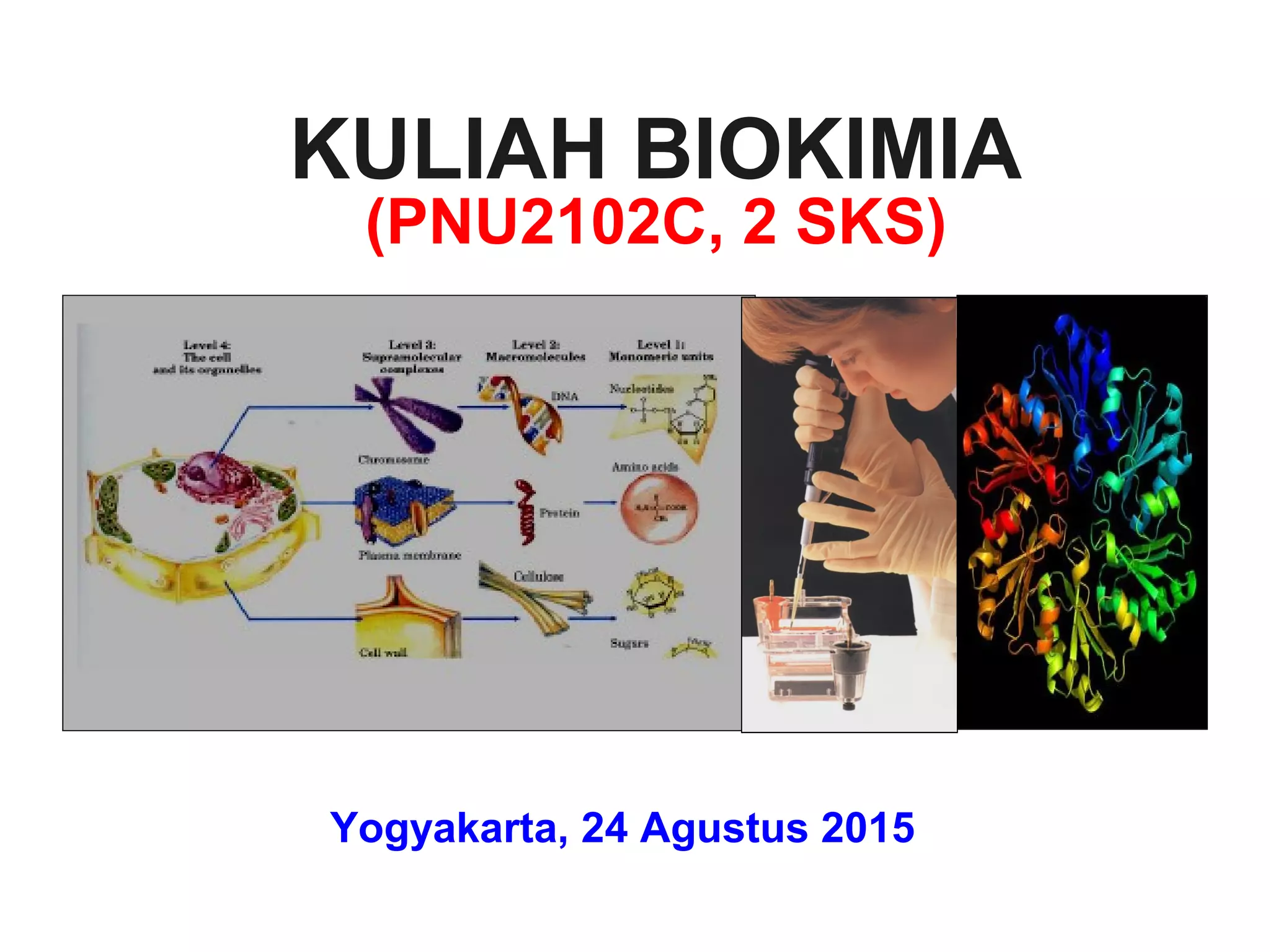 Pengantar biokimia | PPT