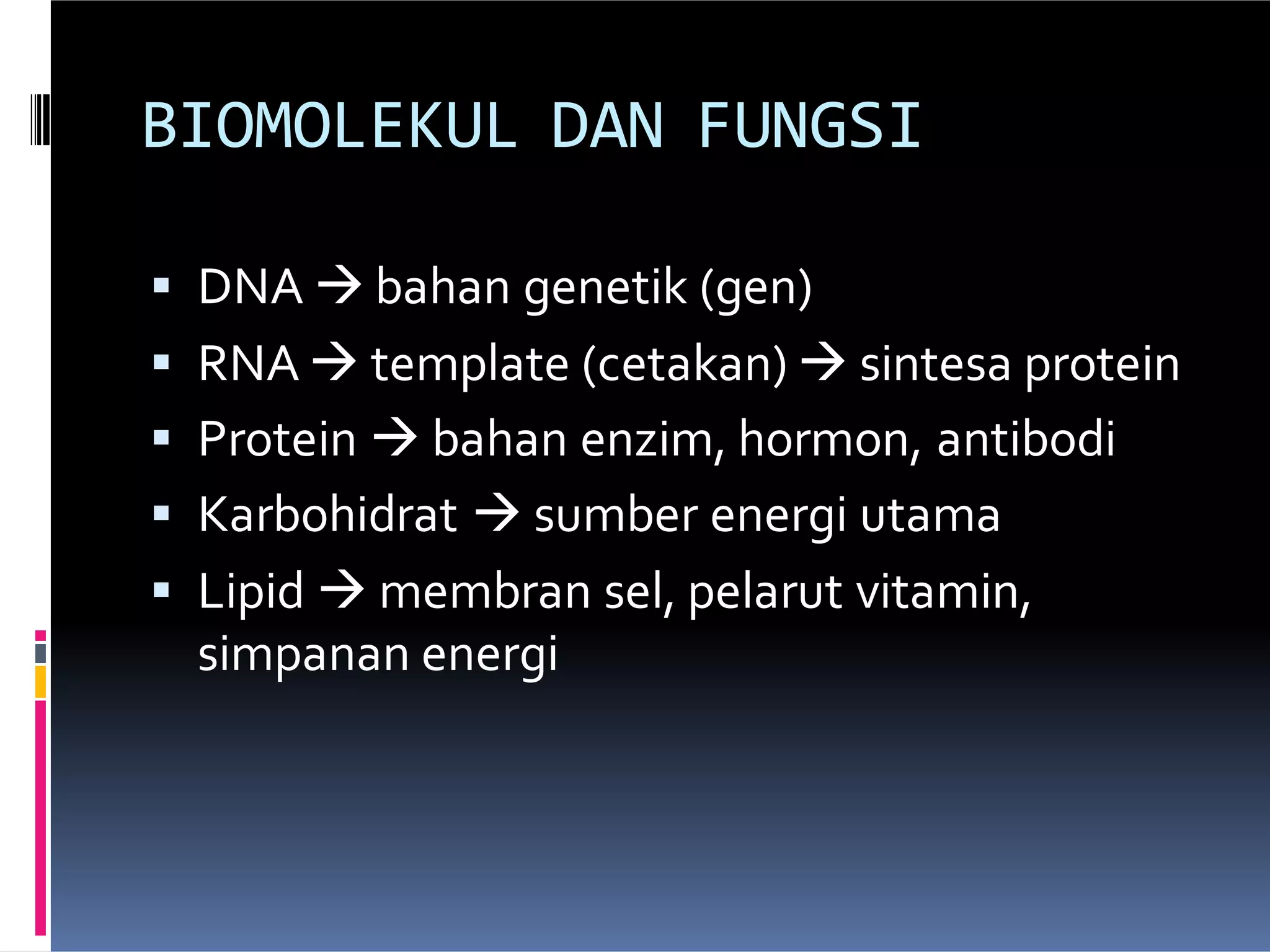 Pengantar biokimia | DOCX