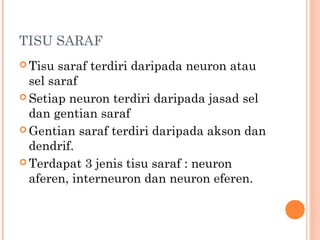 organisasi sel haiwan (siti maizatul fazlin) | PPT