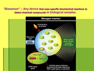 Pengantar Biosensor Ppt