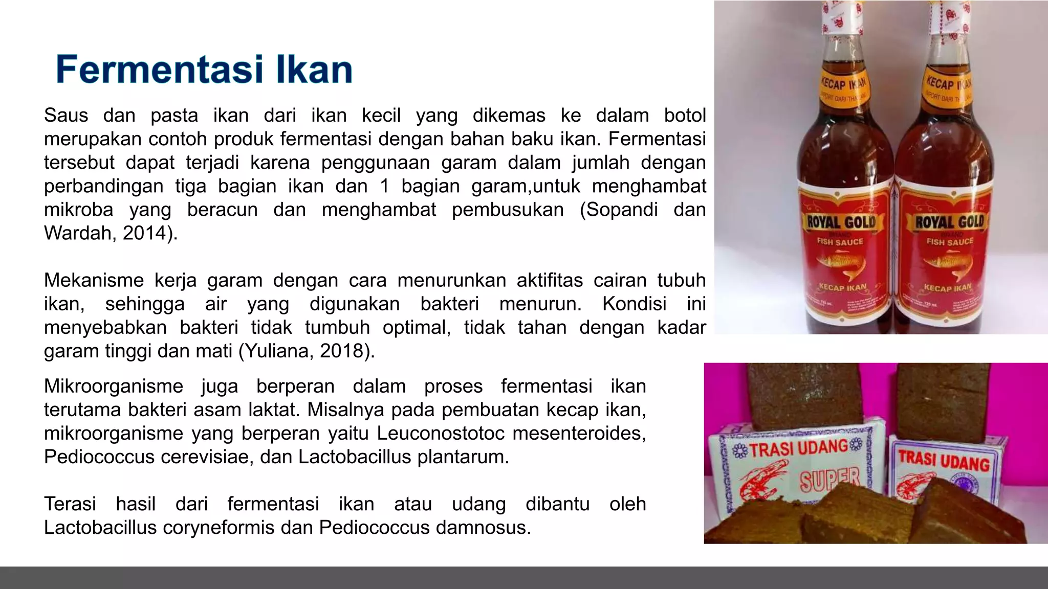 Pengantar Bioteknologi_Teknologi Fermentasi, Manfaat dan Aplikasinya.pptx