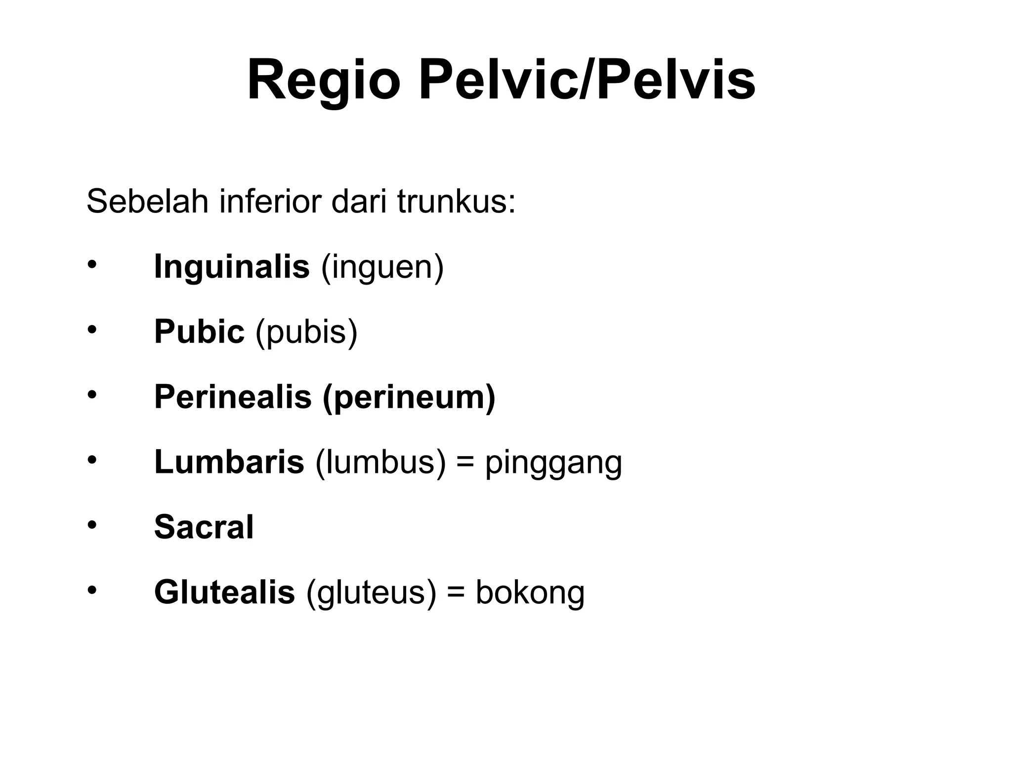 Pengantar ilmu anatomi | PPT