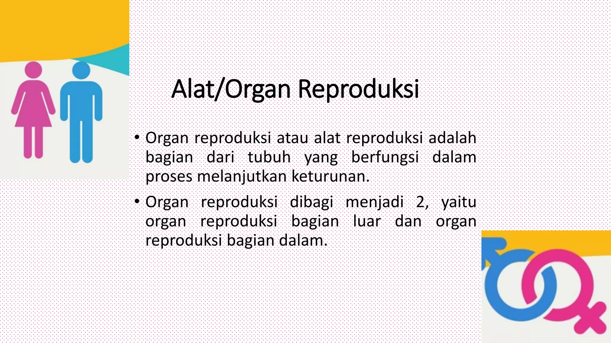PENGANTAR KESEHATAN REPRODUKSI REMAJA.ppt