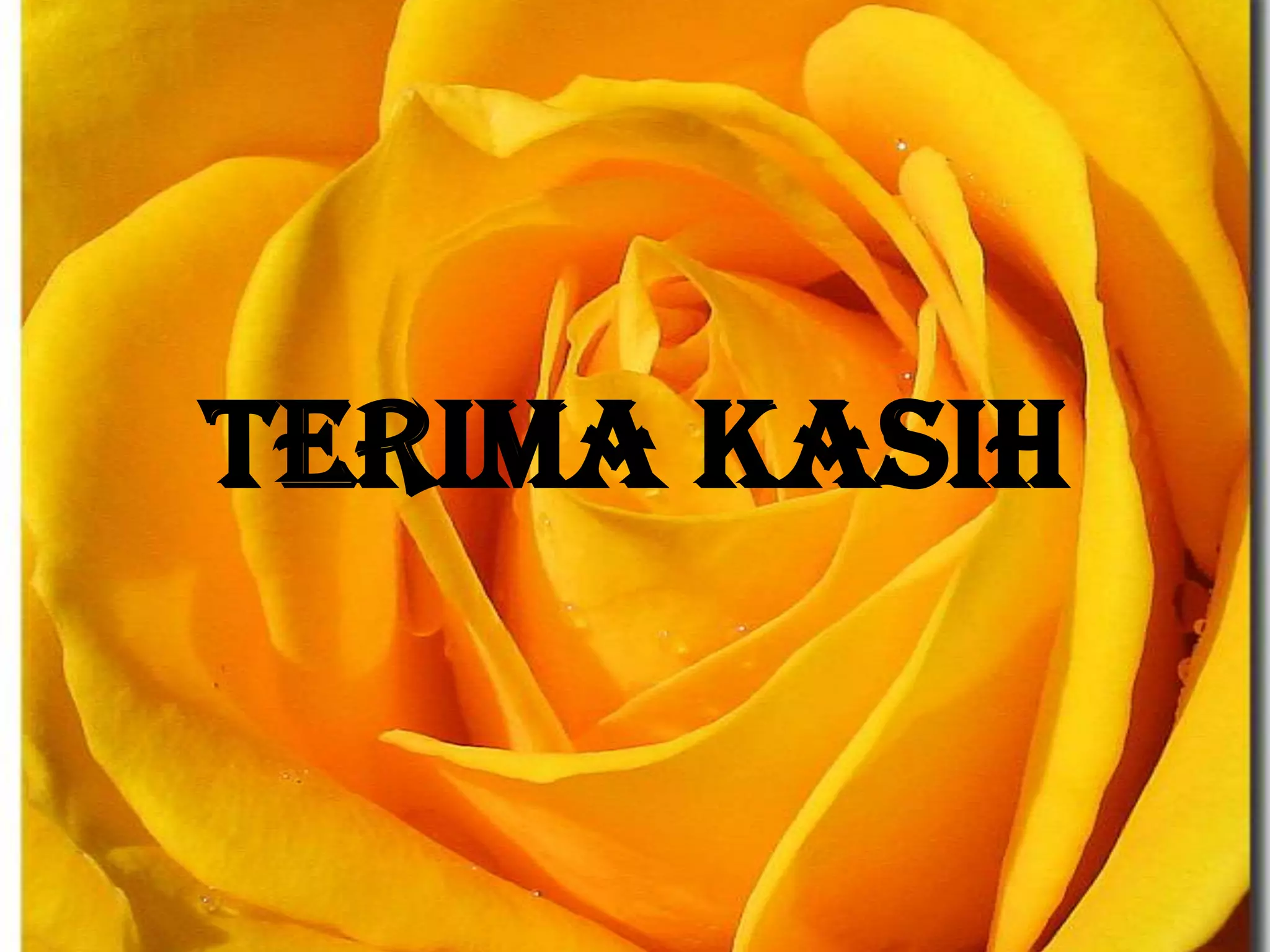 Pengantar pendidikan tiara 10 | PPTX