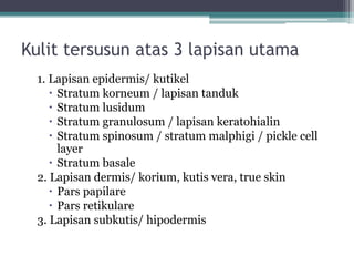 PENGANTAR SISTEM INTEGUMEN.pptx