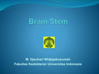Pengantar sistem saraf brain stem | PPT