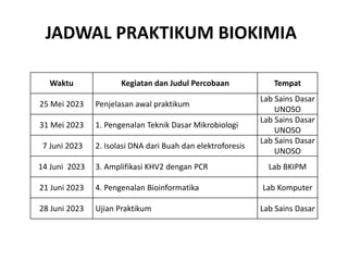 Pengarahan Praktikum.ppt