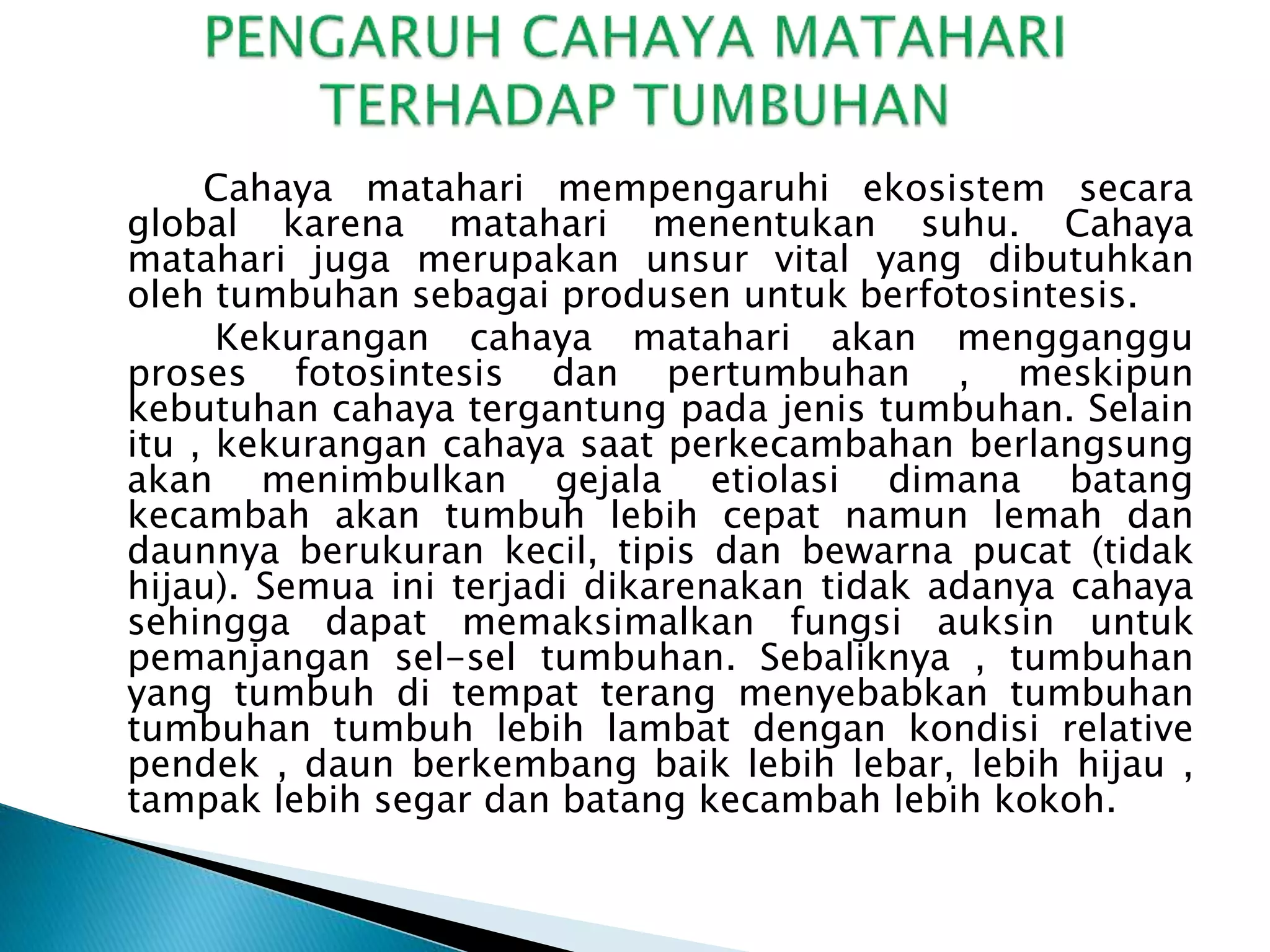 Pengaruh cahaya matahari terhadap tumbuhan | PPT