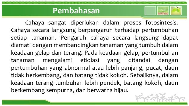 Pengaruh cahaya terhadap pertumbuhan tanaman 2 Pengaruh cahaya terhadap pertumbuhan tanaman 2