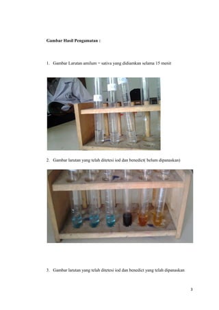 Pengaruh konsentrasi enzim terhadap aktivitas enzim | DOC