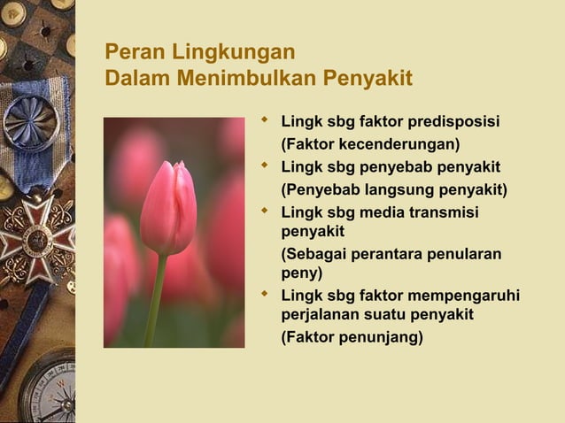 Pengaruh Lingkungan Terhadap Kesehatan | PPT