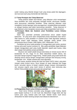 Pengaruh perbedaan substrat terhadap pertumbuhan | PDF