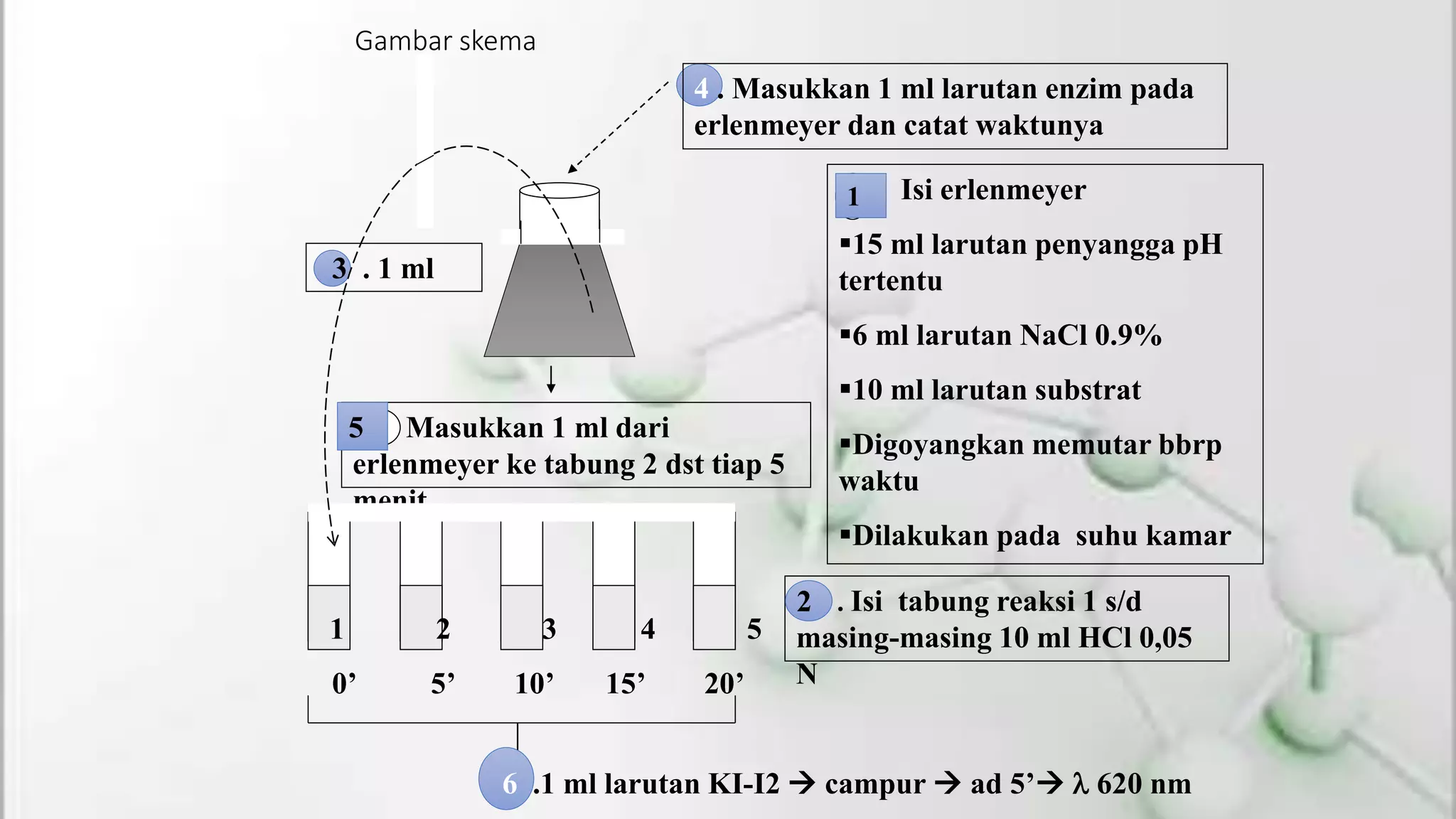 Pengaruh pH pada reaksi enzimatik | PPTX
