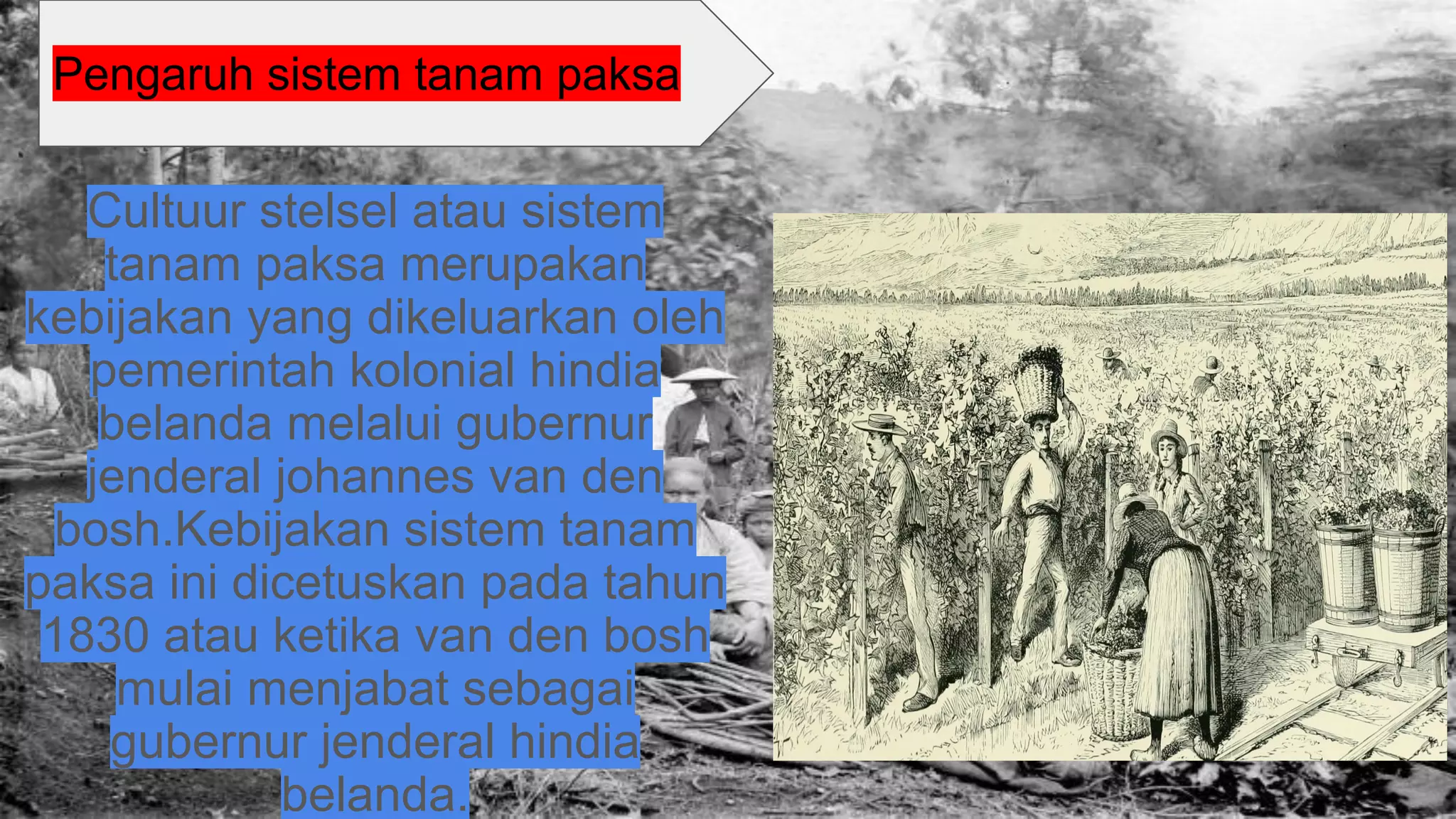 pengaruh sistem tanam paksa.pdf