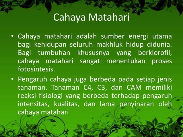 Pengaruh suhu dan matahari terhadap tumbuhan | PPTX Pengaruh suhu dan matahari terhadap tumbuhan | PPTX