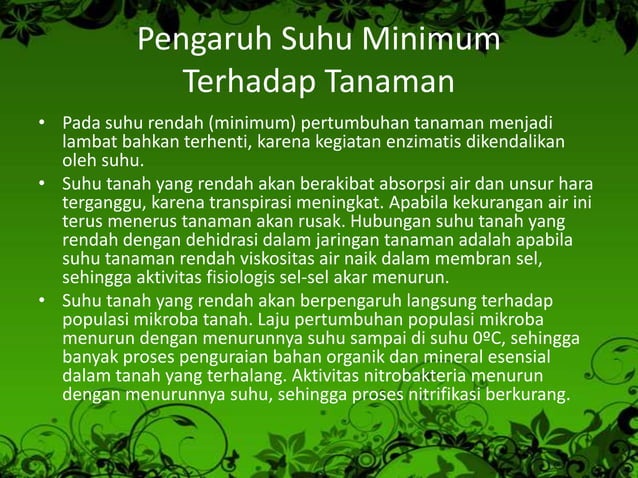 Pengaruh suhu dan matahari terhadap tumbuhan | PPTX Pengaruh suhu dan matahari terhadap tumbuhan | PPTX