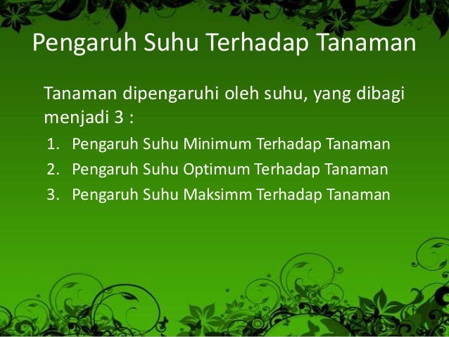 Pengaruh suhu dan matahari terhadap tumbuhan Pengaruh suhu dan matahari terhadap tumbuhan