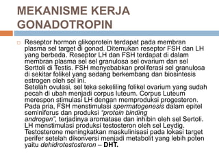 Pengaturan fungsi hormon seksual pada pria oleh hormon | PPTX
