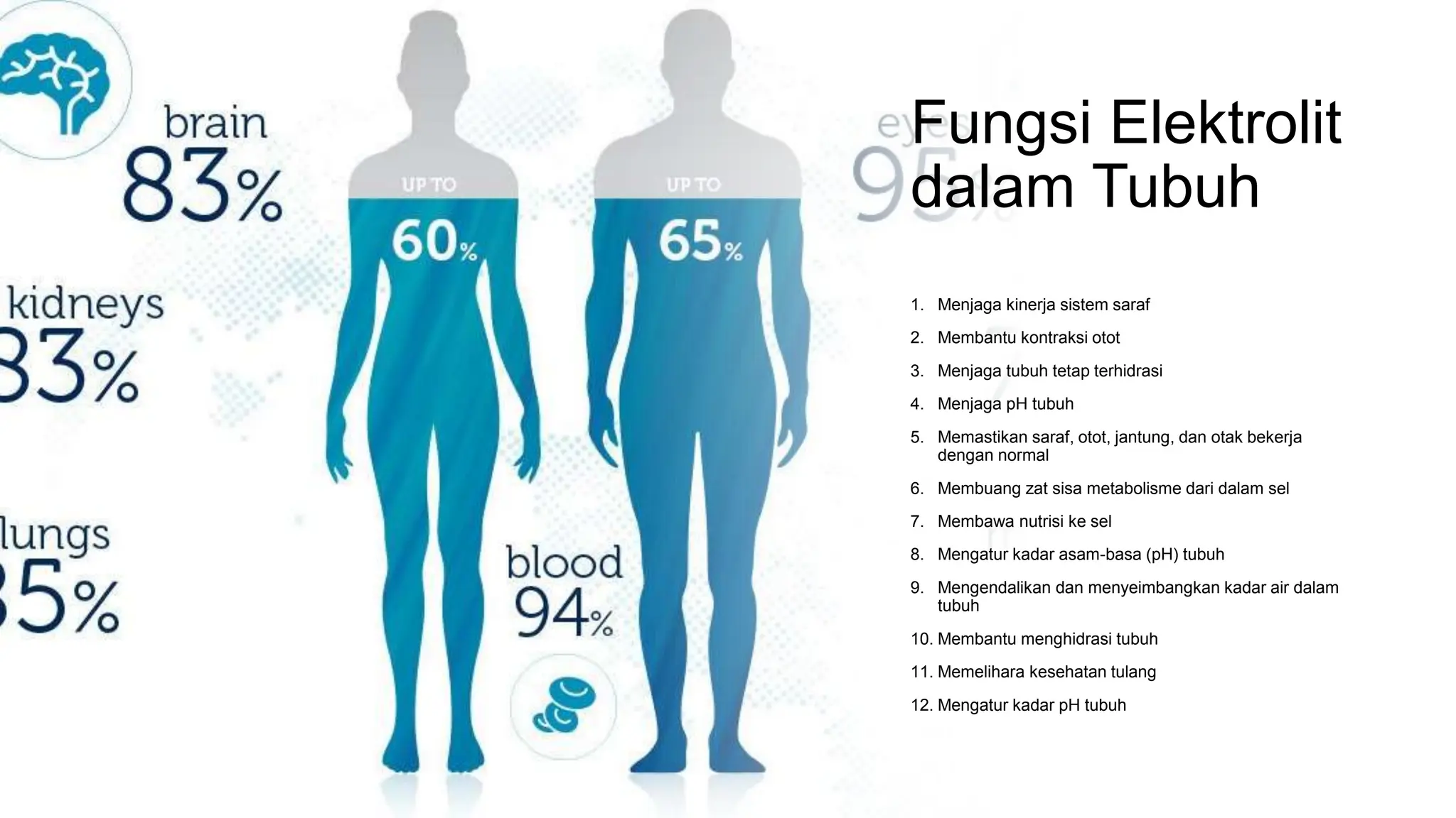 Pengaturan Keseimbangan Cairan dan Elektrolit dalam Tubuh.pptx