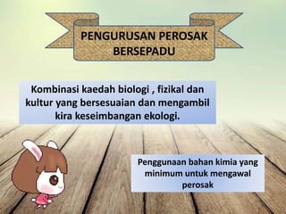 Pengawalan organisma | PPTX