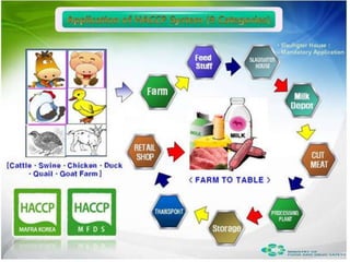 HACCP FOOD | PPTX