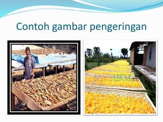 Pengawetan makanan dengan cara pengalengan dan pengeringan yuda dkk | PPTX